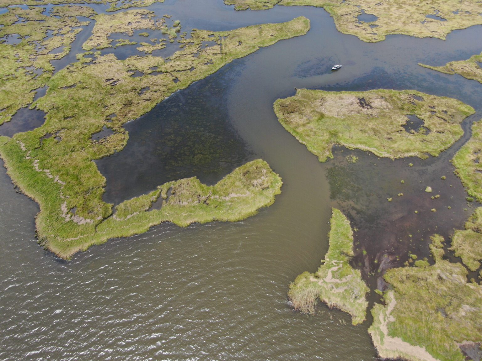 Northeast Turtle Bay Marsh Creation Project